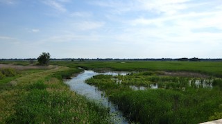 Fish Point SWA, Tuscola, Michigan, United States - eBird Hotspot
