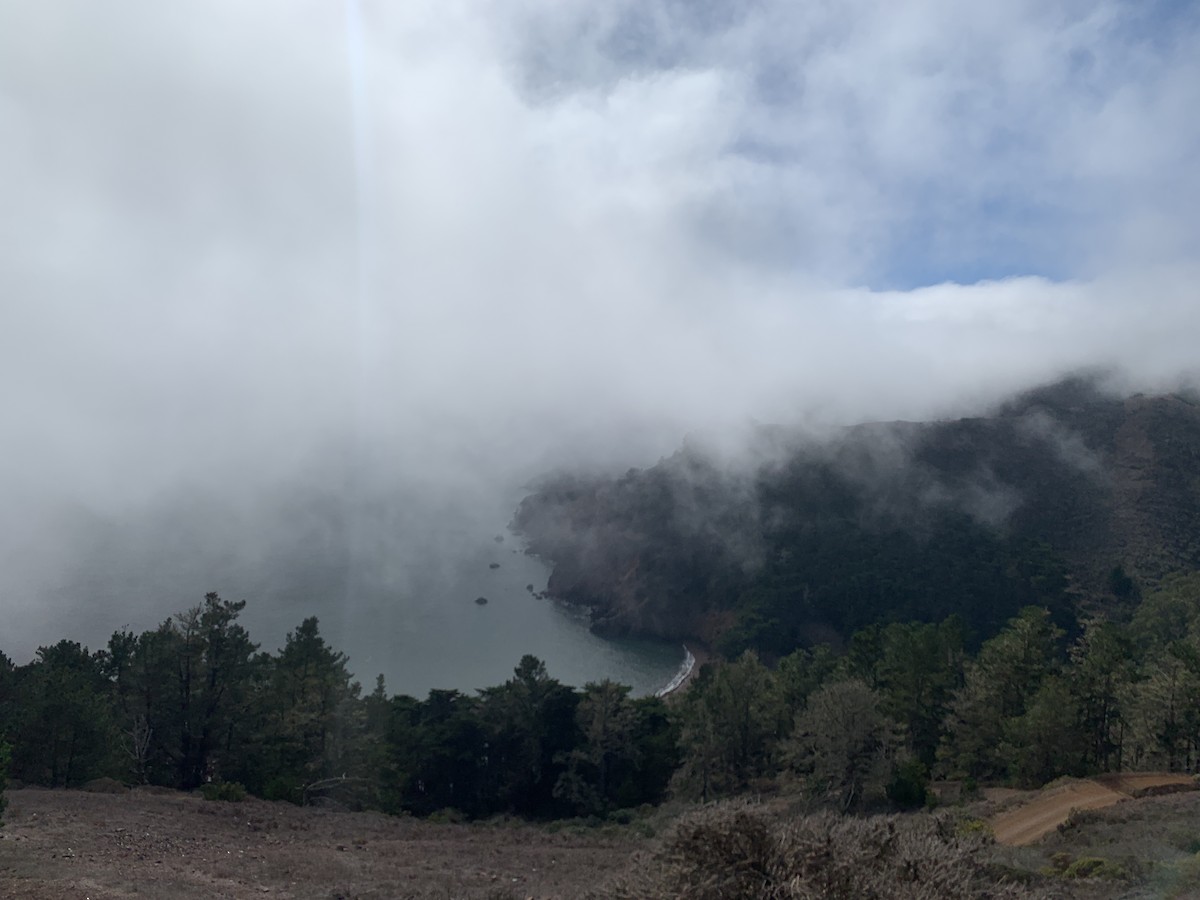 Marin Headlands--Slacker Ridge - Marin, California, US - Birding Hotspots