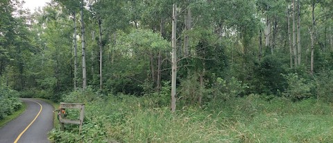 Where to Go Birding in Ottawa, Ontario - Birding Hotspots