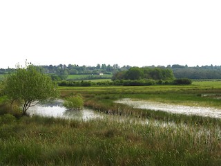 Otmoor RSPB Reserve, Oxfordshire, England, United Kingdom - eBird Hotspot