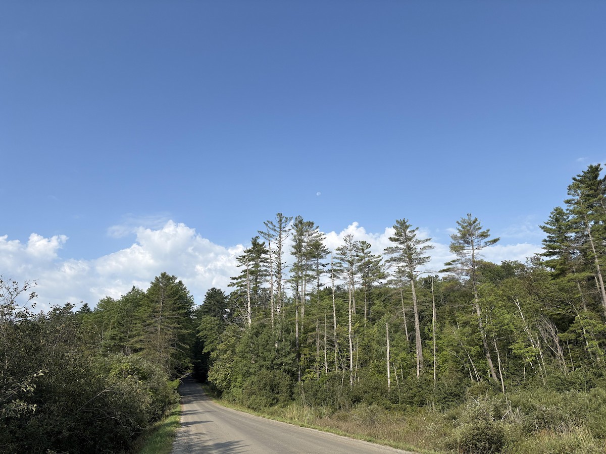 Berlin Pond IBA - Berlin (293 acres) - Washington, Vermont, US ...