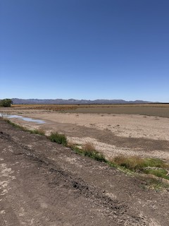 Whitewater Draw Wildlife Area, Cochise, Arizona, United States - eBird ...
