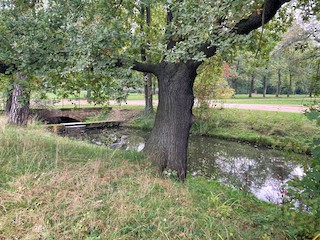 Großer Garten, Dresden (Kreisfreie Stadt), Sachsen, Germany - eBird Hotspot