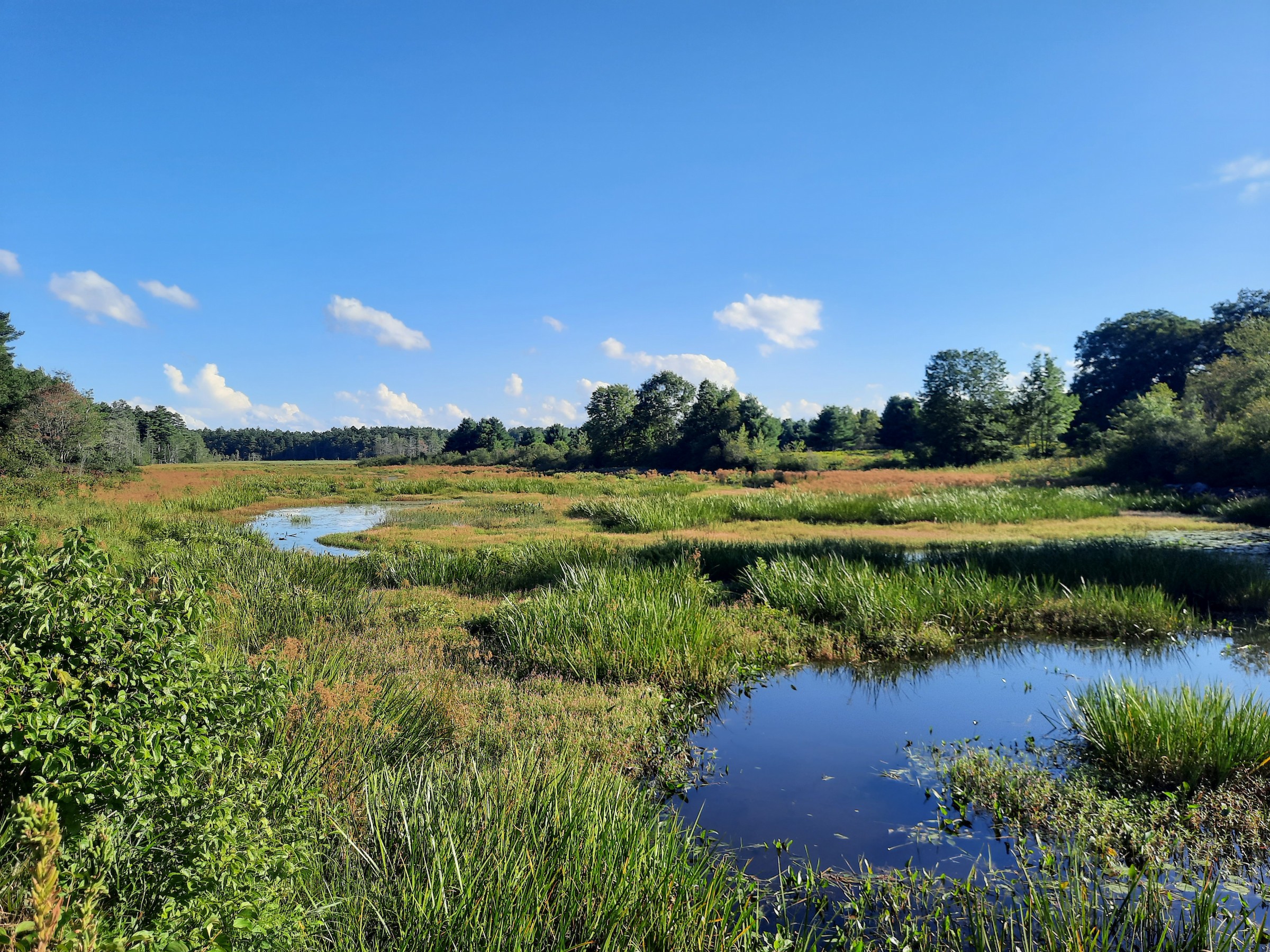 Rutland Prison Camp - Worcester, Massachusetts, US - Birding Hotspots