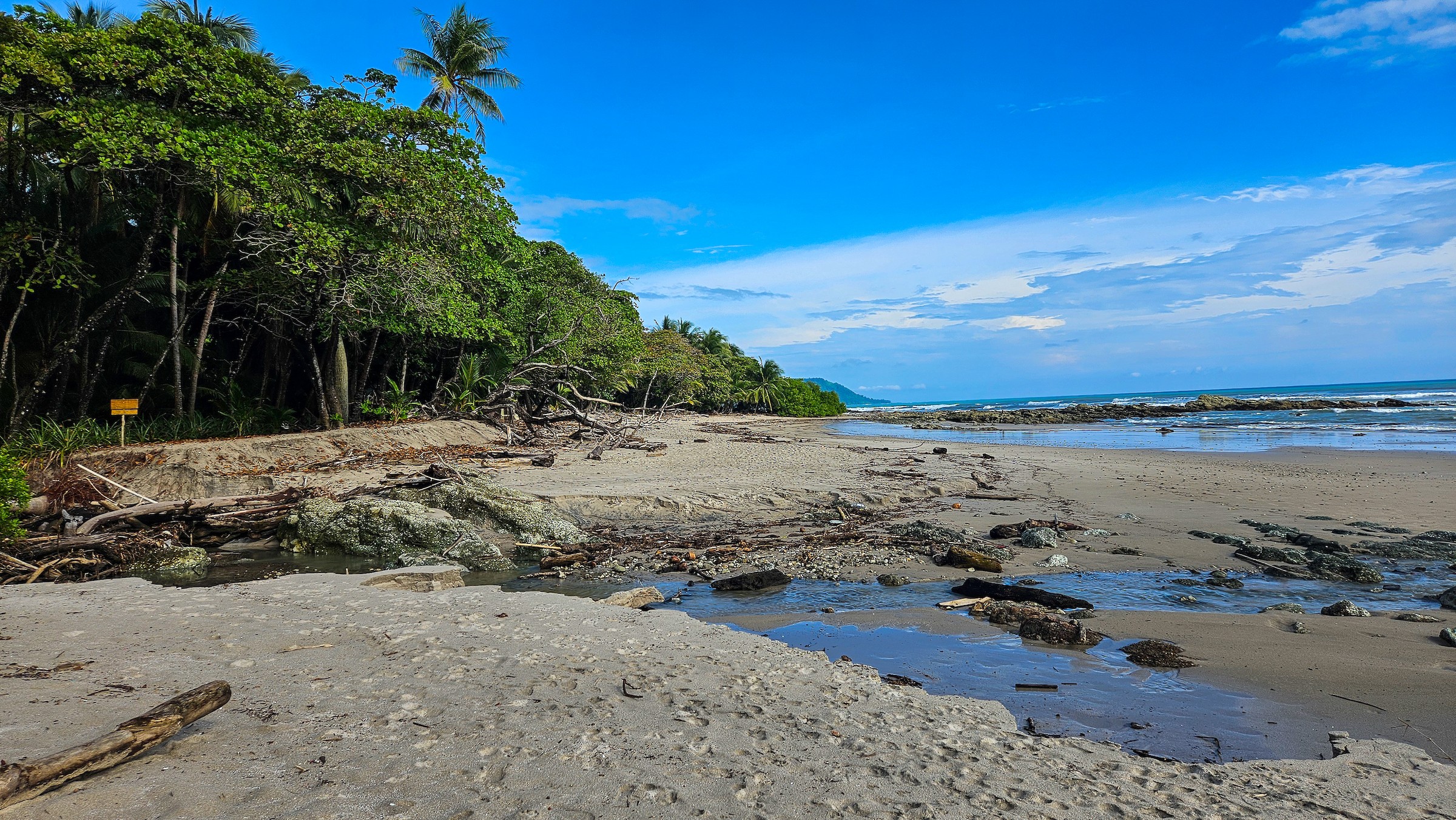 Playa Santa Teresa - Puntarenas, Costa Rica - Birding Hotspots