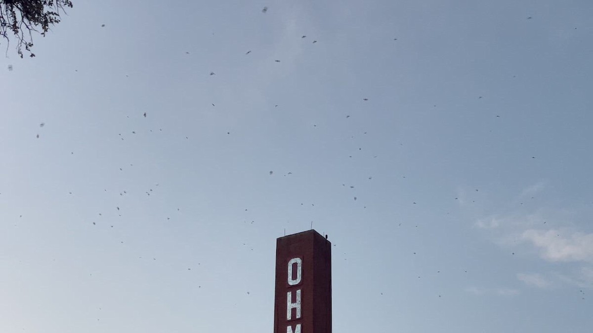 eBird Checklist - 6 Sep 2025 - Swifts Over Austin--O. Henry Middle ...