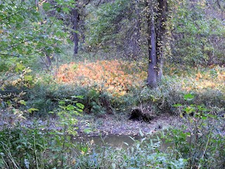 Winnipeg--Bunns Creek Centennial Park & Parkway, Winnipeg, Manitoba ...
