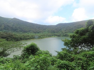 三宅島--大路池 (Miyakejima--Tairo-ike), Miyake, Tokyo, Japan - eBird Hotspot