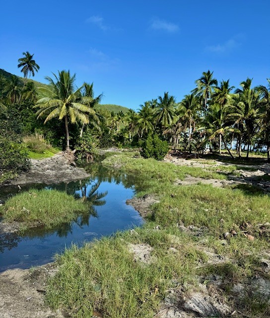 ML642180727 - Habitat: Soso village stream - Macaulay Library