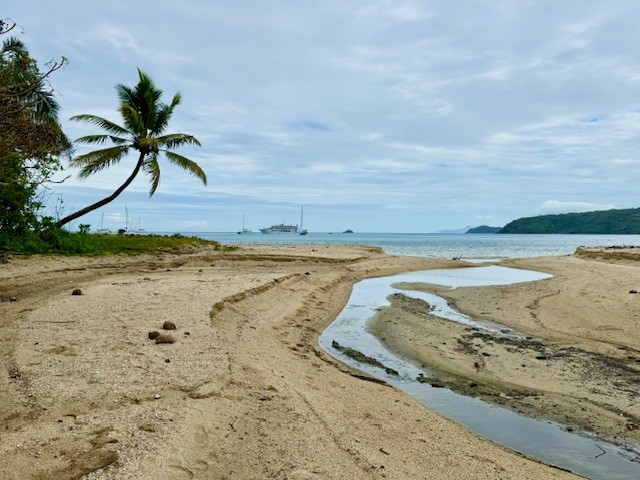 ML642180854 - Habitat: Island stream. Pacific ducks were is this stream ...