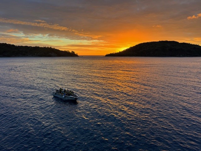 ML642180905 - Habitat: Sunset - Macaulay Library