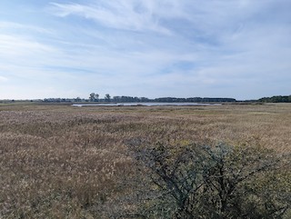 Inre Stockviken, Gotlands län [SE-09], Sweden - eBird Hotspot