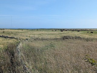 Inre Stockviken, Gotlands län [SE-09], Sweden - eBird Hotspot