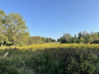 Ashbridge Preserve, Chester, Pennsylvania, United States - eBird Hotspot