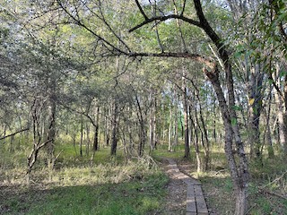 Ashbridge Preserve, Chester, Pennsylvania, United States - eBird Hotspot