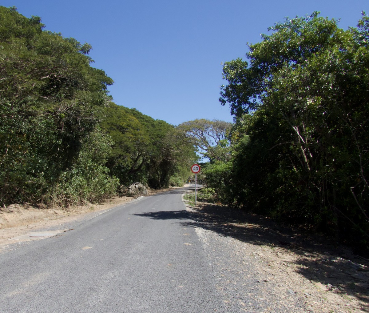 ML642264747 - Habitat - Macaulay Library