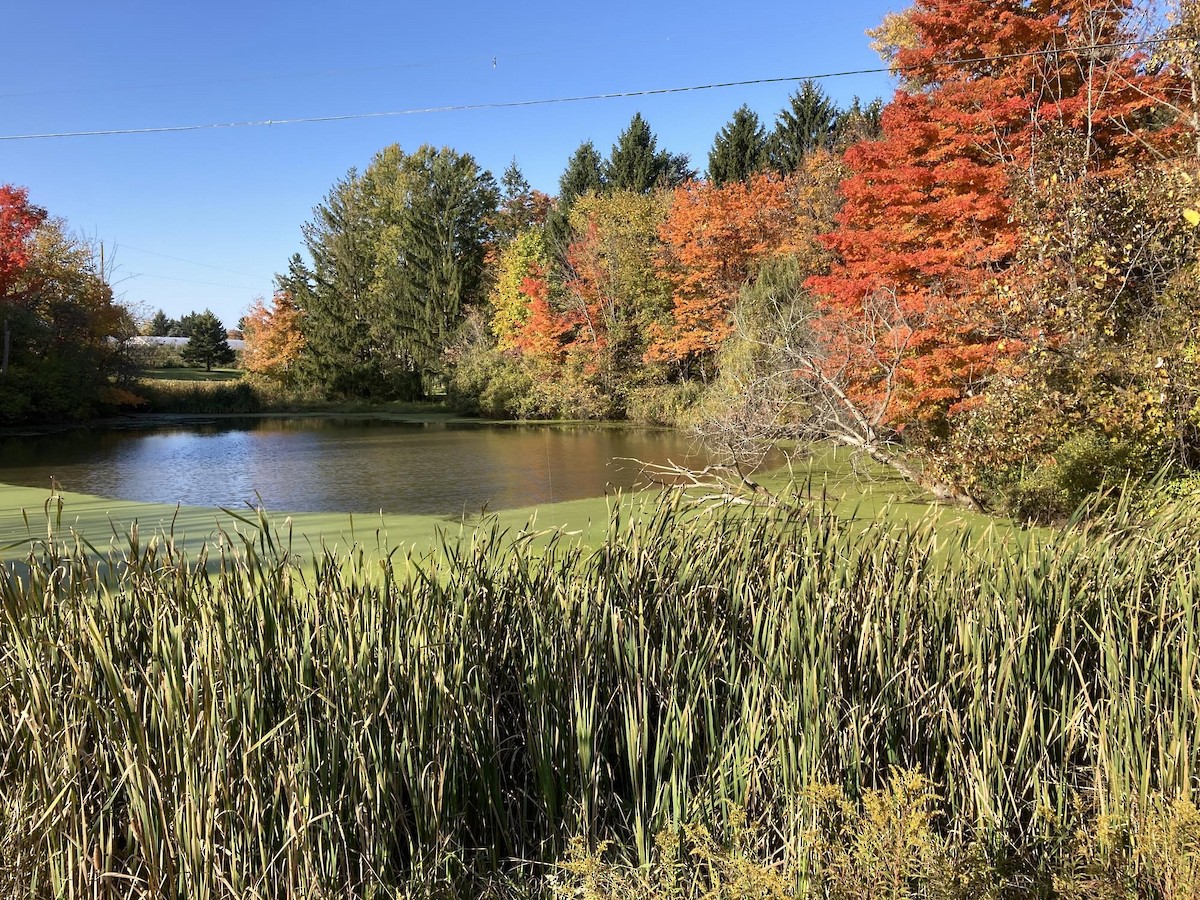 Hinckley Reservation--Ledge Lake Bridle Trail - Medina, Ohio, US ...