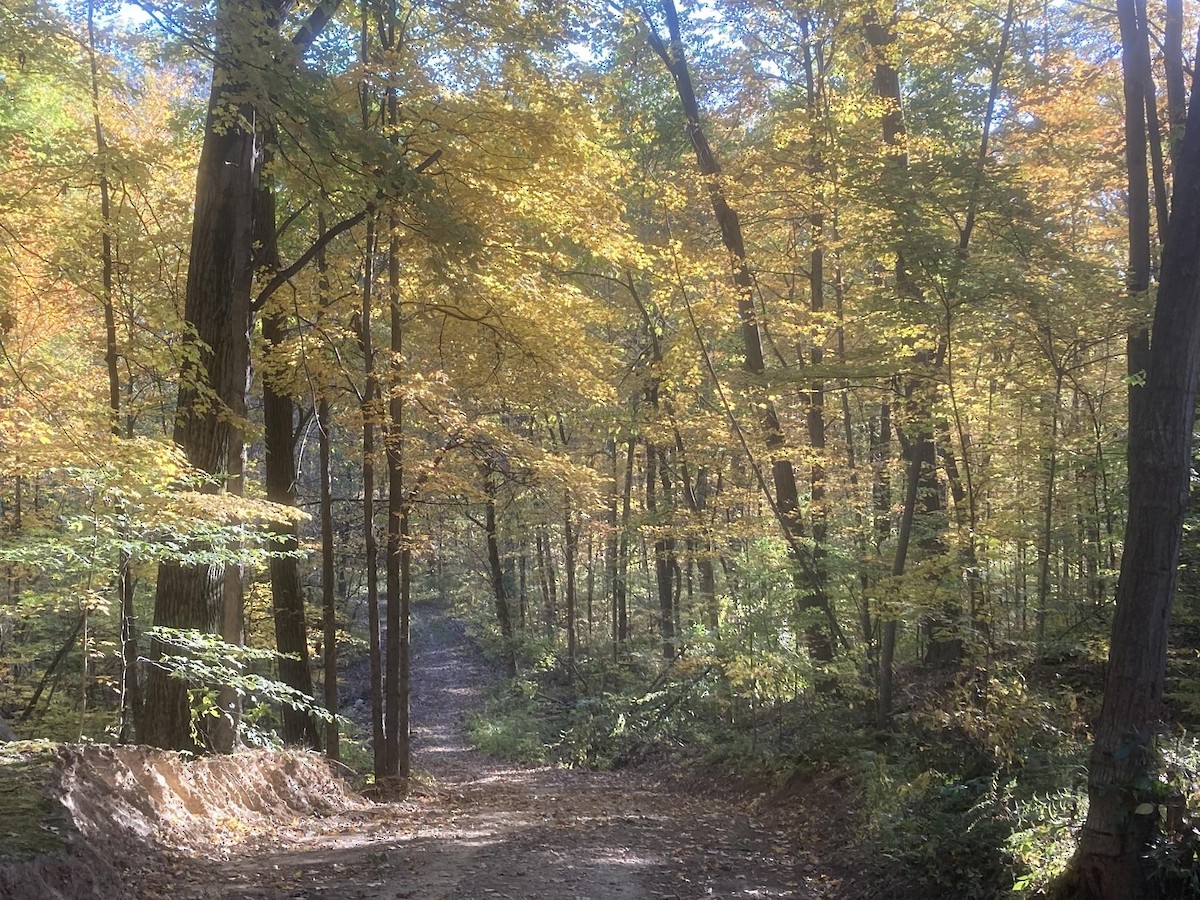 Hinckley Reservation--Ledge Lake Loop Trail - Medina, Ohio, US ...