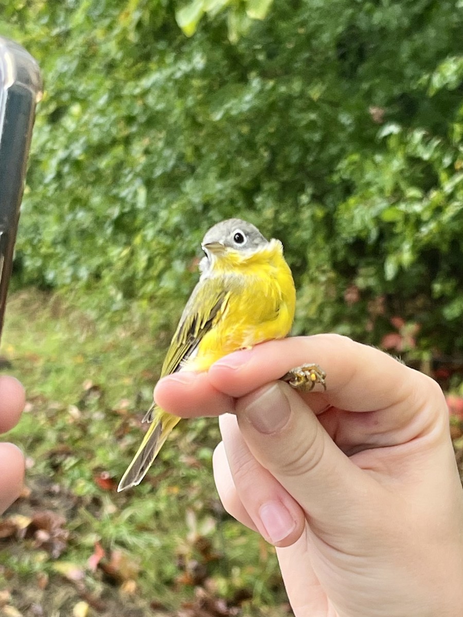 eBird Checklist - 25 Sep 2025 - Waterloo--Columbia Lake - 28 species