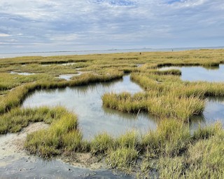 Tuckerton--Great Bay Bvld WMA Inlet, Ocean, New Jersey, United States ...