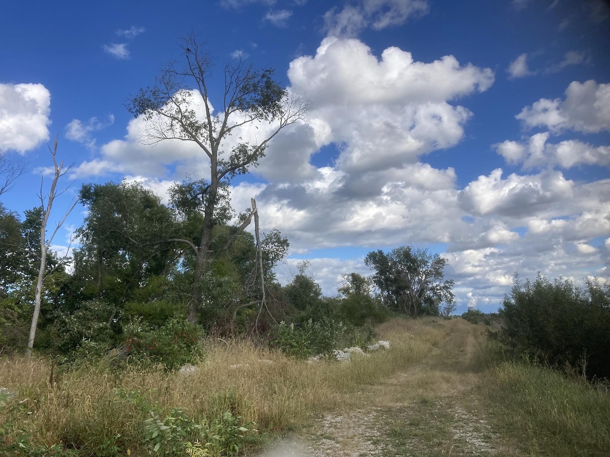 Magee Marsh--Lakefront Levee Trail (seasonal) - Lucas, Ohio, US ...