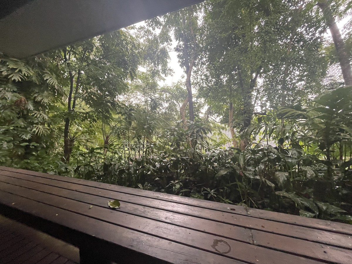 ML642508297 - Habitat - Macaulay Library