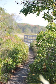 Madelyn Marx Preserve (KLT) and Bridle Path (south of Route 9), York ...