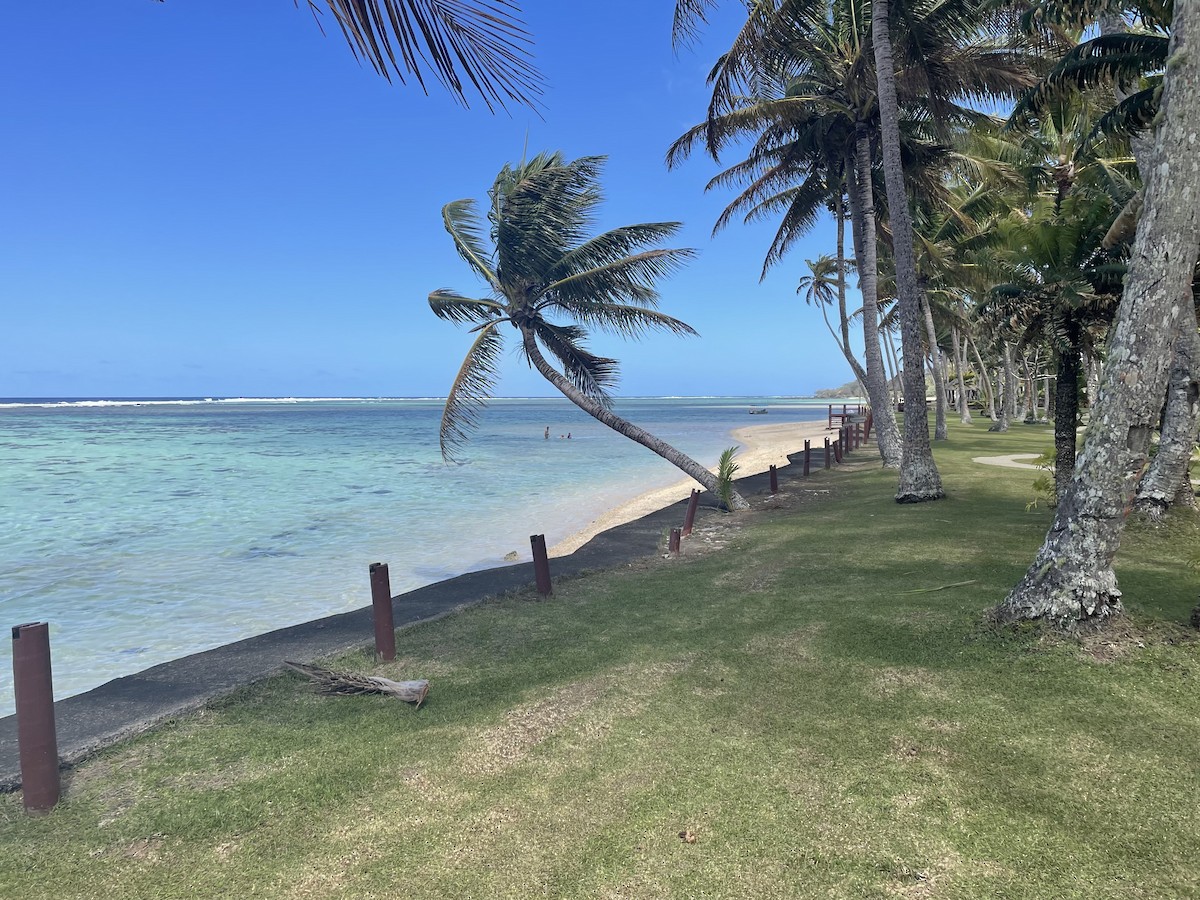 ML642692439 - Habitat - Macaulay Library