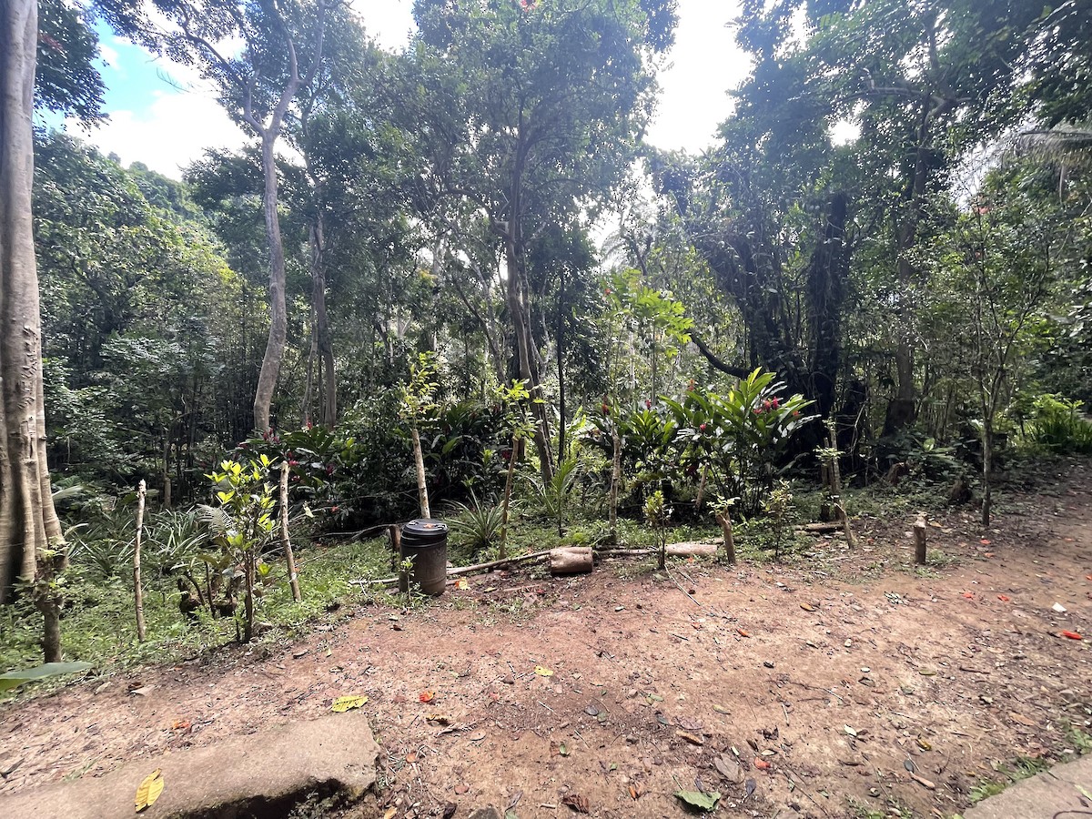 ML642743748 - Habitat - Macaulay Library