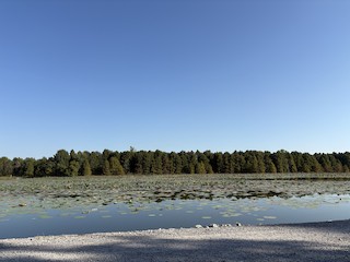Mermet Lake, Massac, Illinois, United States - eBird Hotspot