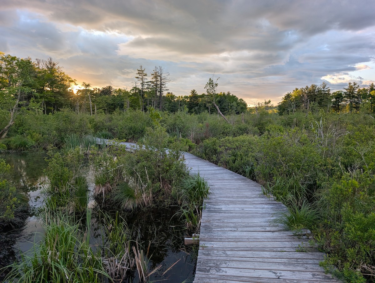 Danvers-Wenham Rail Trail and Swamp Walk - Essex, Massachusetts, US ...