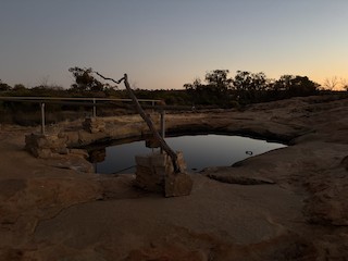 Camel Soak, Perenjori, Western Australia, Australia - eBird Hotspot