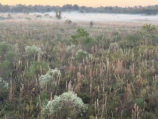 El Franco Lee Park, Harris, Texas, United States - eBird Hotspot