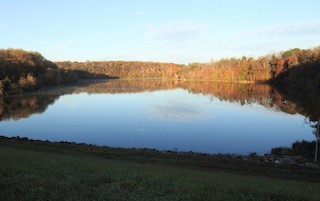 Lake Mercer, Fairfax, Virginia, United States - eBird Hotspot