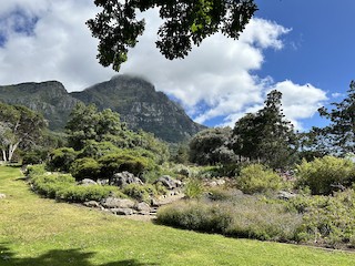 Kirstenbosch Botanical Garden, Western Cape, South Africa - eBird Hotspot