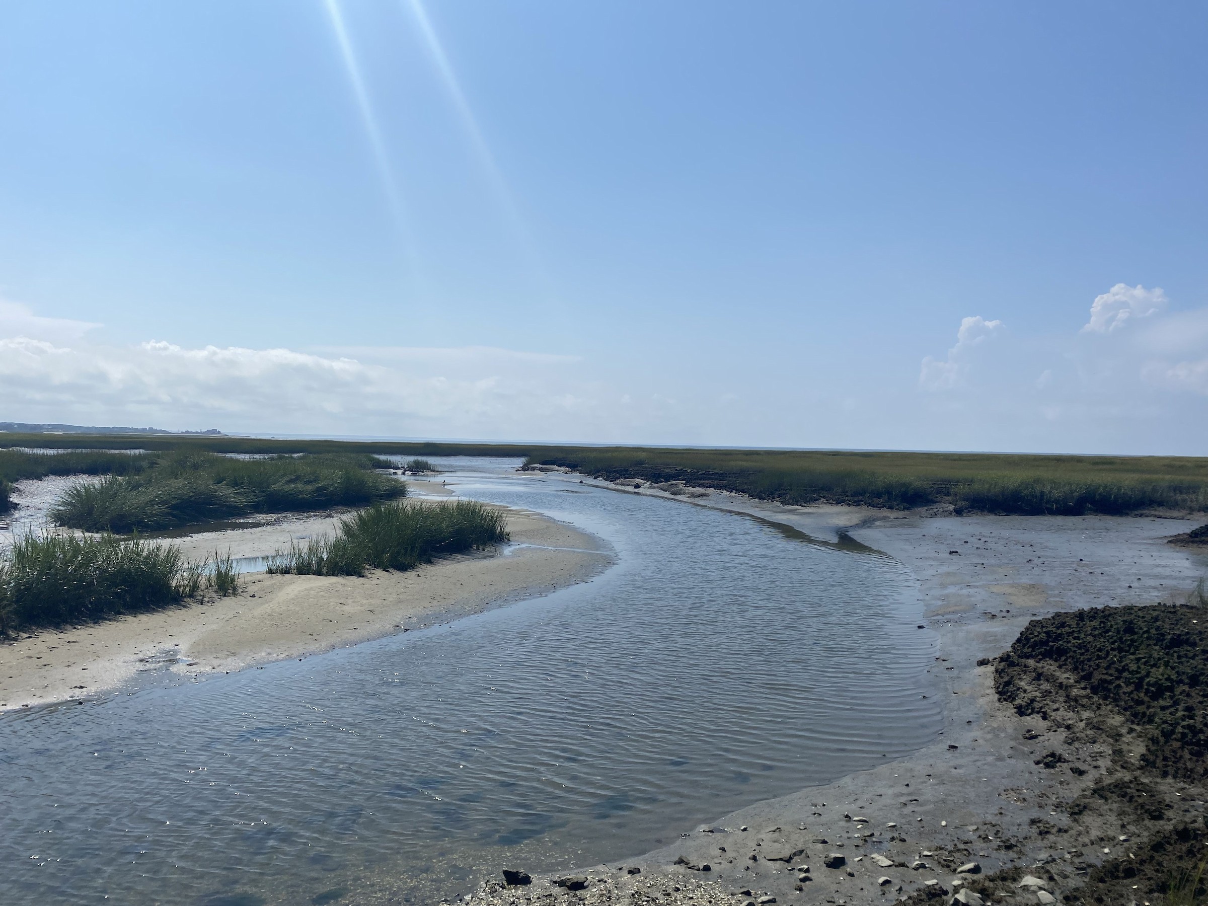 Lieutenant Island Causeway - Barnstable, Massachusetts, US - Birding ...