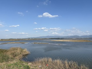 서산--간월호-서편 야생조류관찰소(Seosan--Ganwol Lake-West Bird Hide ...