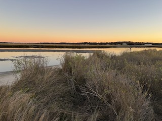 Pleasure House Point Natural Area, Virginia Beach, Virginia, United ...