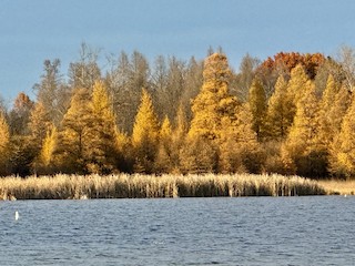 Kettle Moraine SF--Ottawa Lake Recreation Area, Waukesha, Wisconsin ...