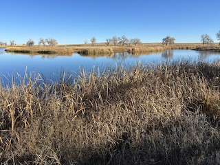 Rocky Mountain Arsenal NWR--Lake Ladora, Adams, Colorado, United States ...
