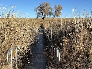 Rocky Mountain Arsenal NWR--Lake Ladora, Adams, Colorado, United States ...