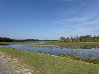 Walkerton Landing, King and Queen, Virginia, United States - eBird Hotspot