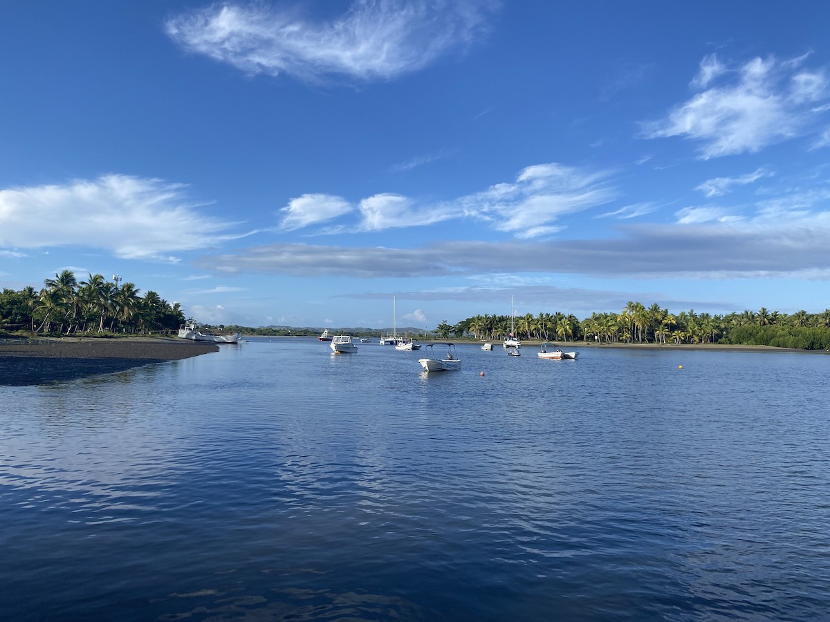 ML645234583 - Habitat - Macaulay Library