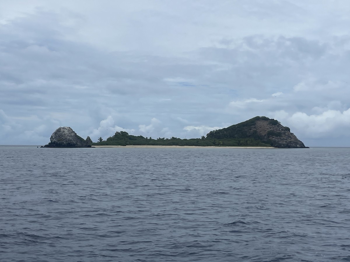 ML645272691 - Habitat - Macaulay Library