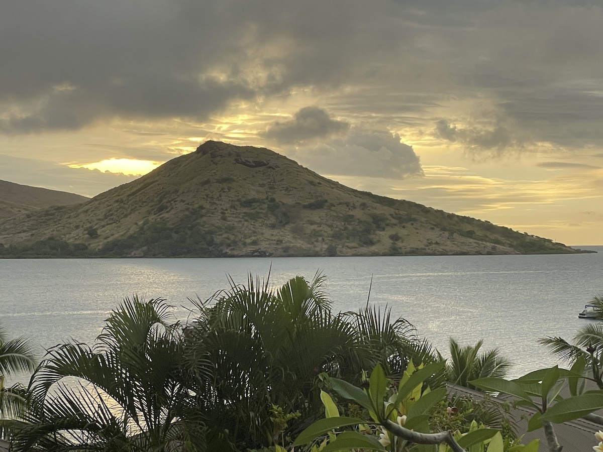 ML645273261 - Habitat - Macaulay Library