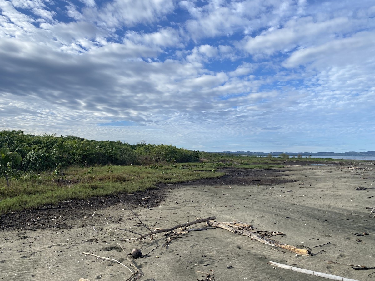ML645276453 - Habitat - Macaulay Library