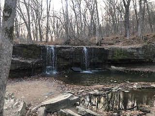 Nerstrand Big Woods SP, Rice, Minnesota, United States - eBird Hotspot