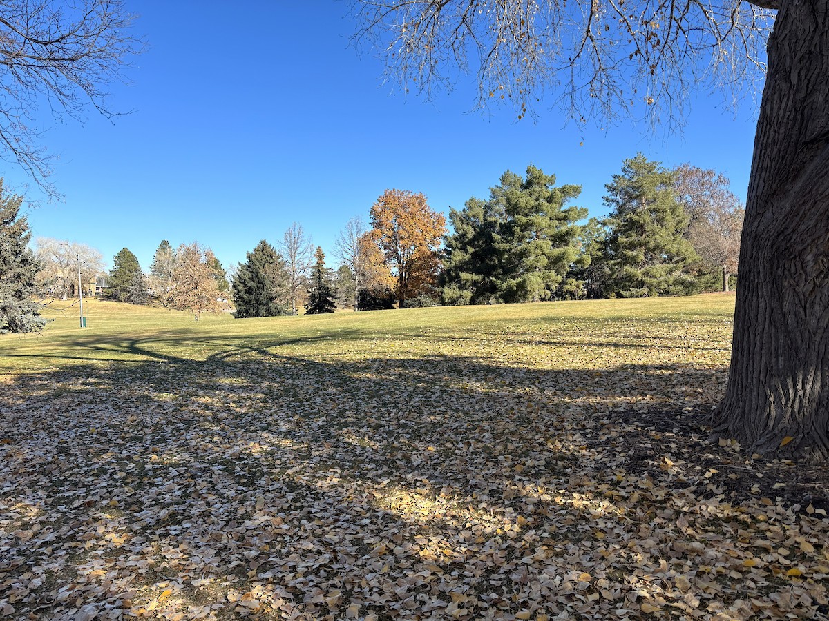 Southmoor Park - Denver, Colorado, US - Birding Hotspots