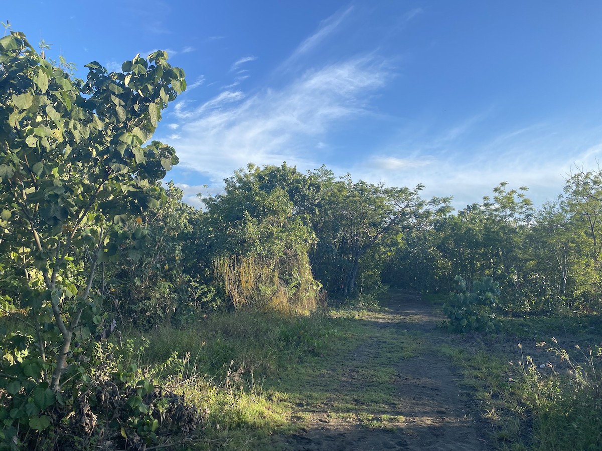 ML645352762 - Habitat - Macaulay Library