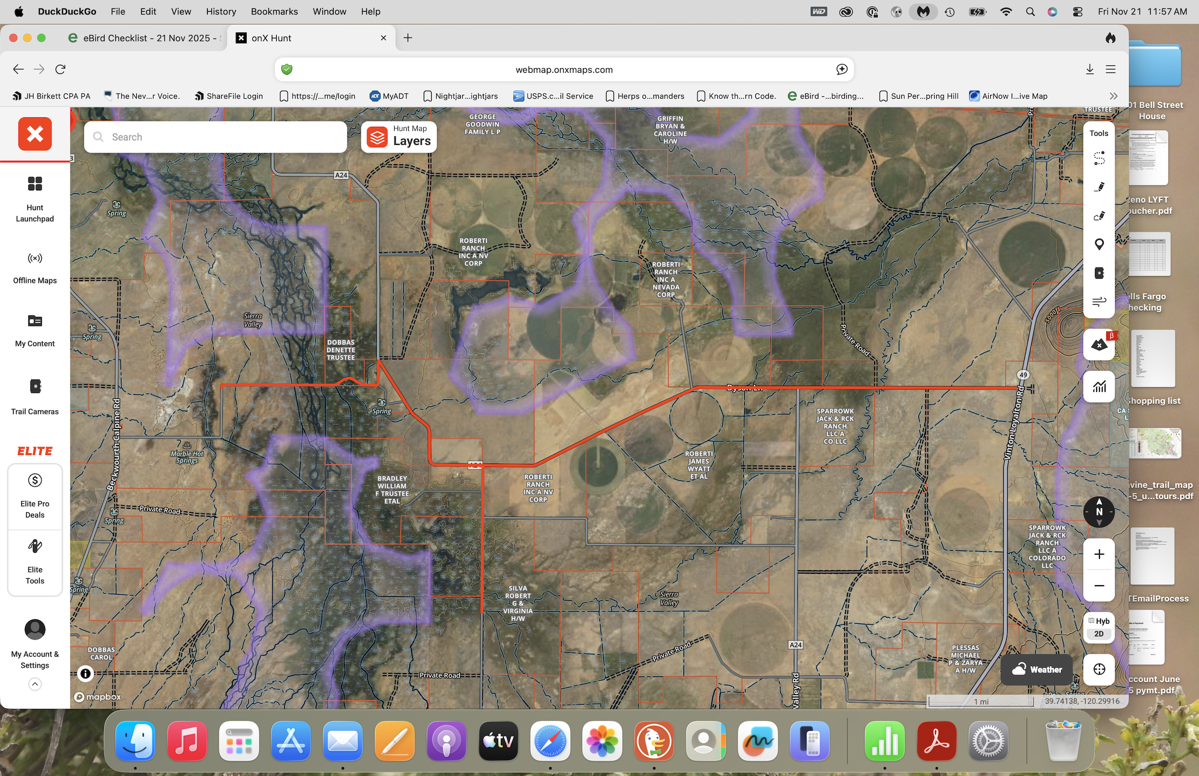 Sierra Valley--Dyson Ln. - Plumas, California, US - Birding Hotspots